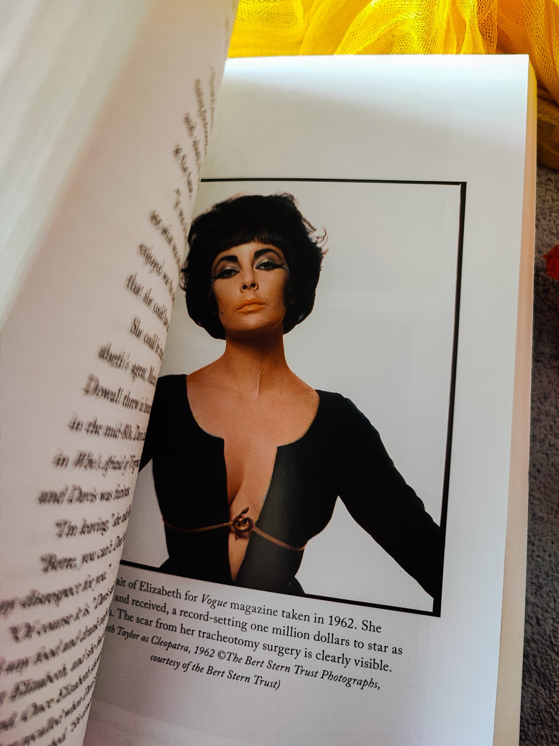 What I read: Elizabeth Taylor: The Grit & Glamour of an Icon by Kate Andersen Brower - Roelia Reads