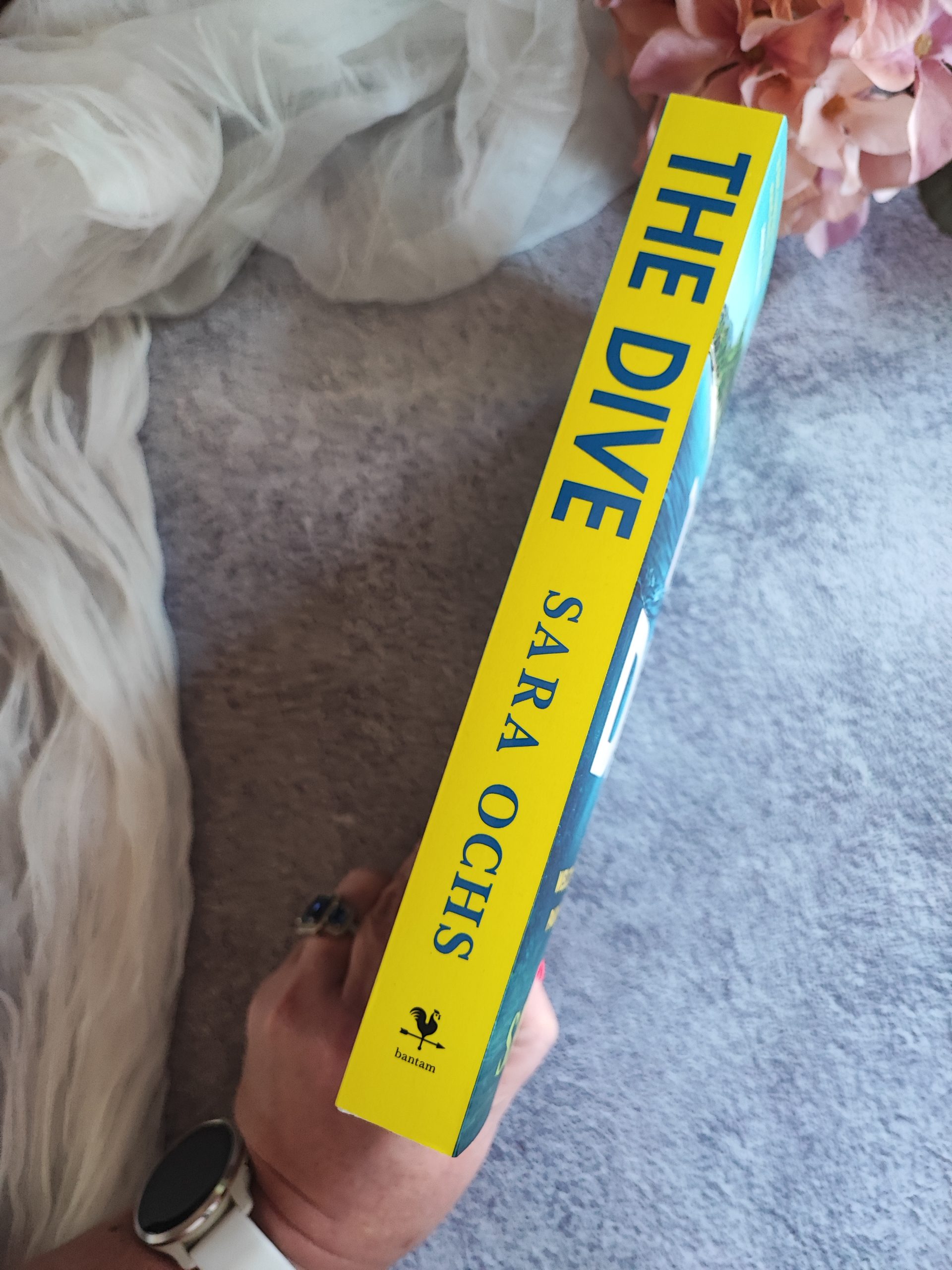 What I read: The Dive by Sara Ochs - Roelia Reads