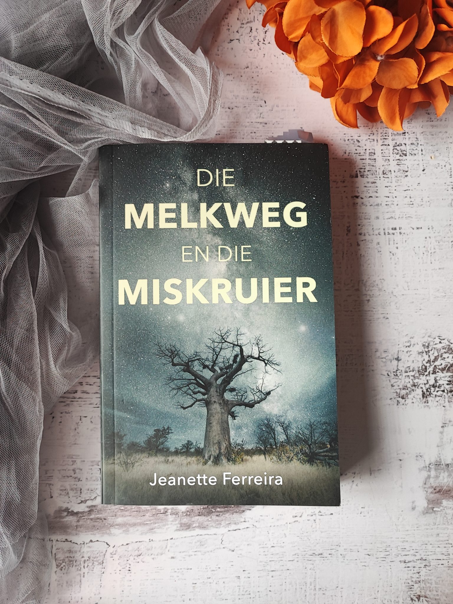Die Melkweg en die Miskruier deur Jeanette Ferreira - Roelia Reads