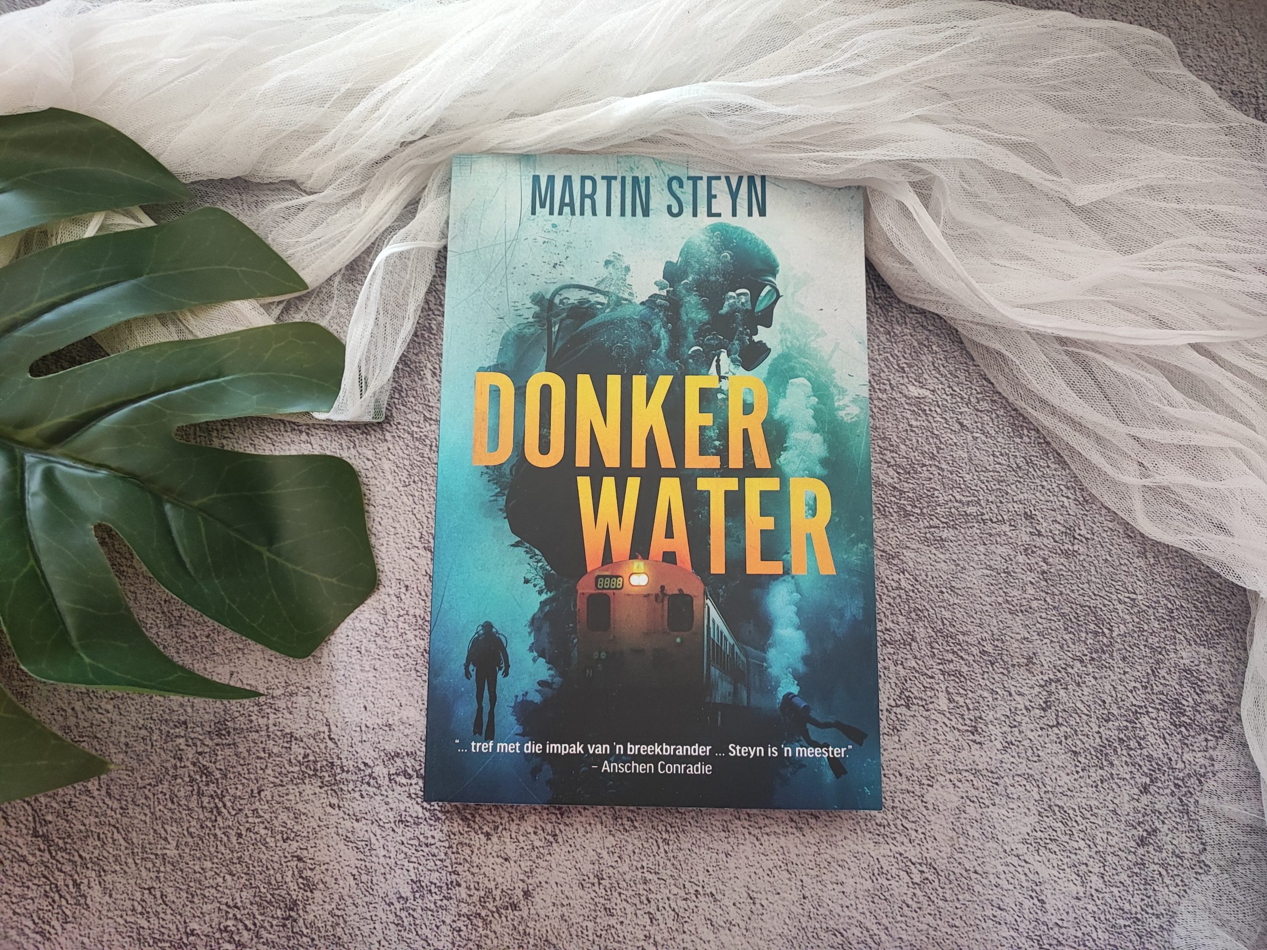 Donker Water deur Martin Steyn - Roelia Reads